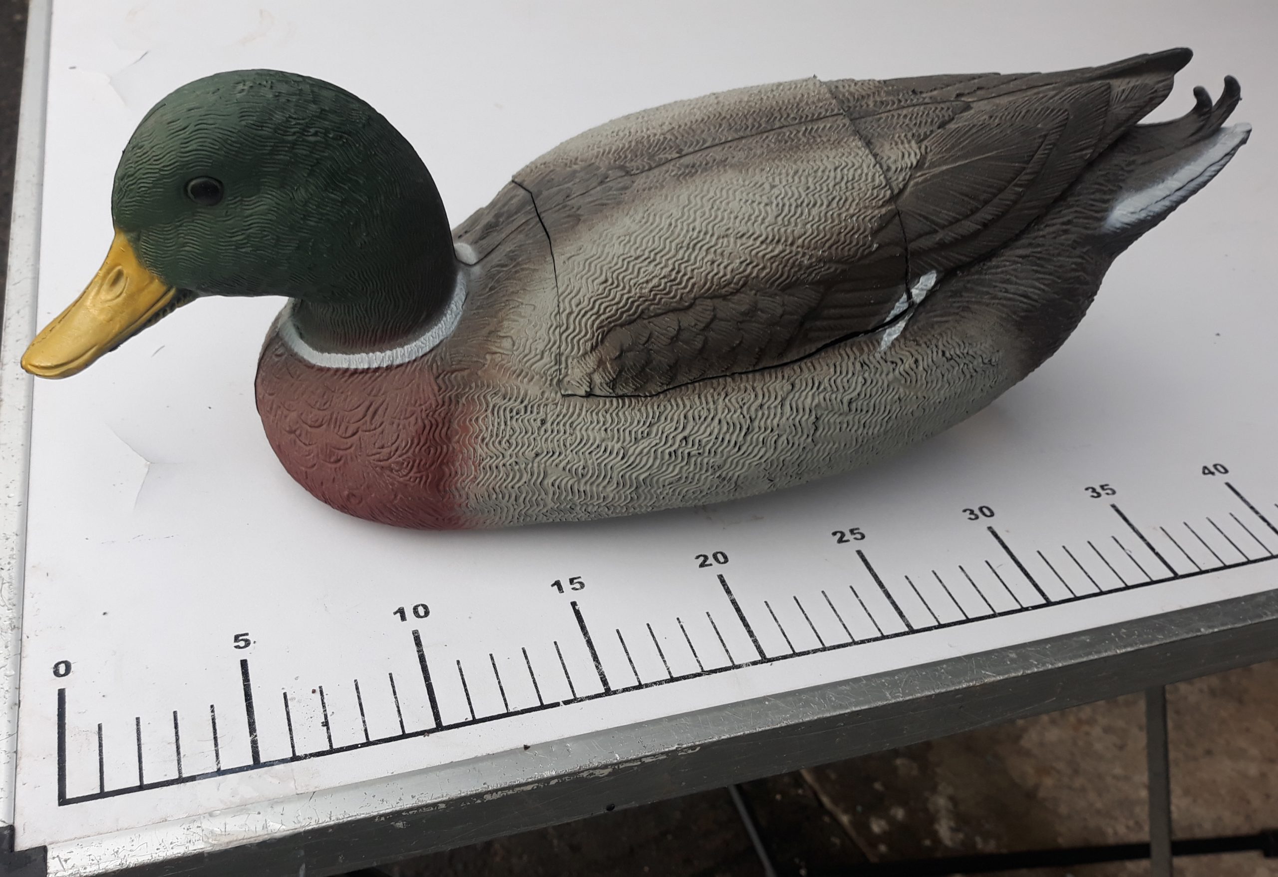 Auction – Sedgemoor Model Boat Club